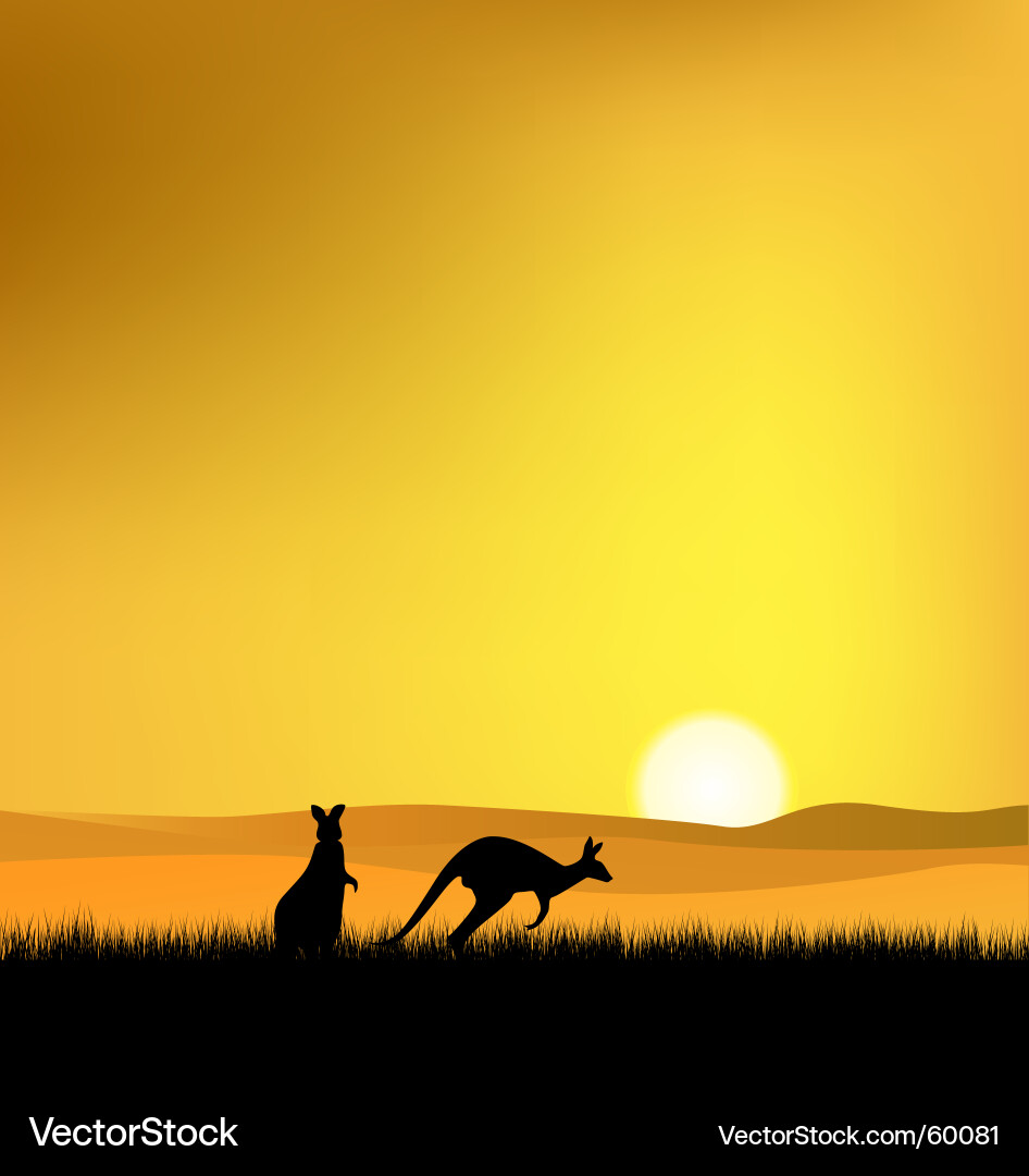 Sunset in australia Royalty Free Vector Image - VectorStock