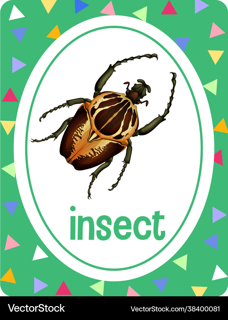 Vocabulary flashcard with word insect Royalty Free Vector