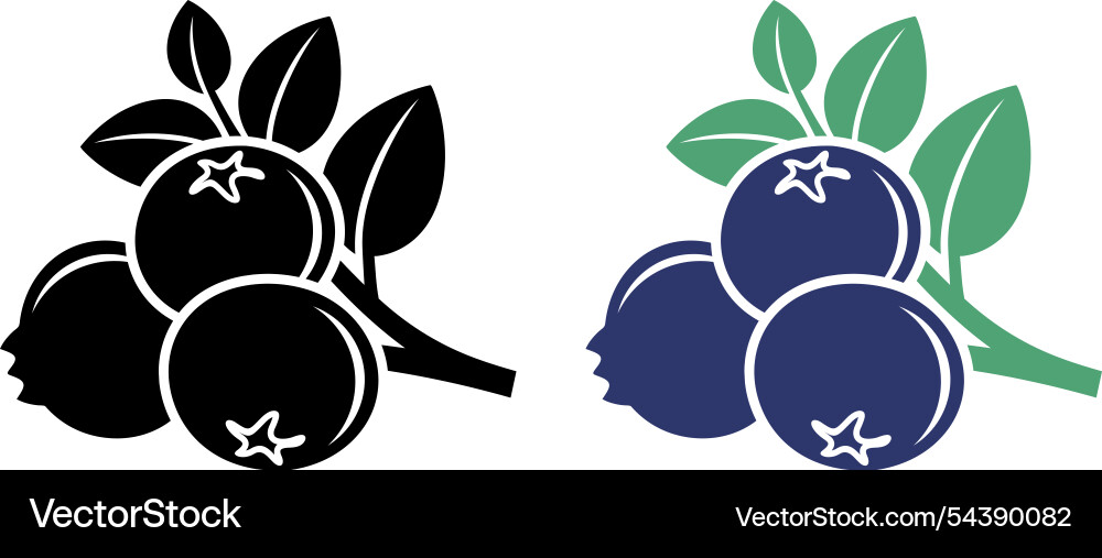 Blueberry Royalty Free Vector Image - VectorStock
