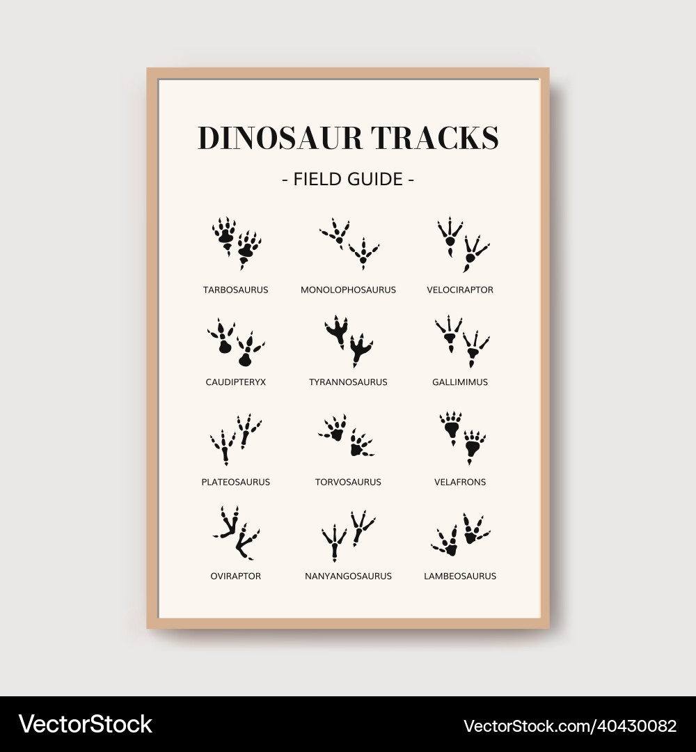 Dino footprints poster dinosaur tracks print Vector Image