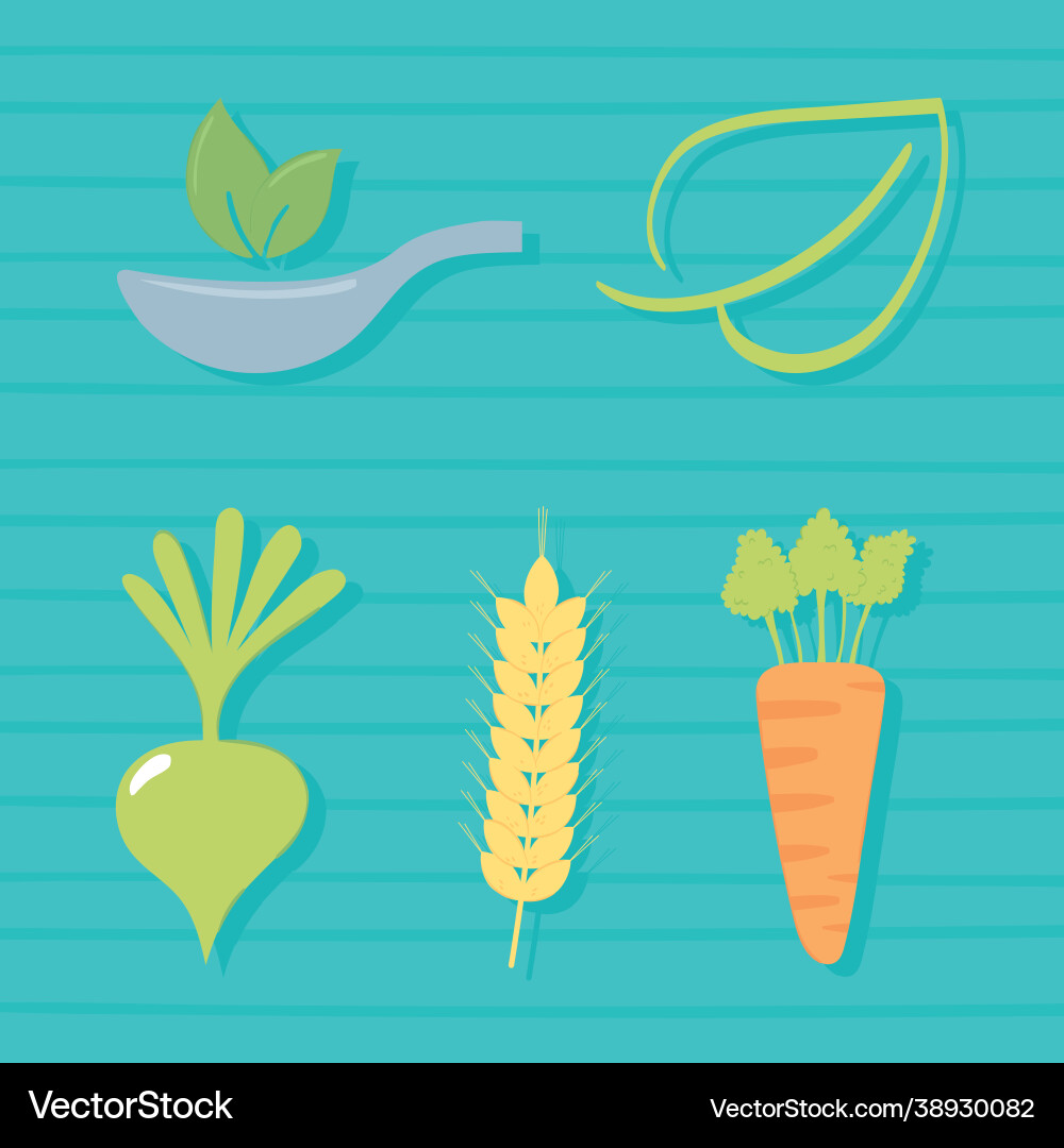 Food fresh produce set Royalty Free Vector Image