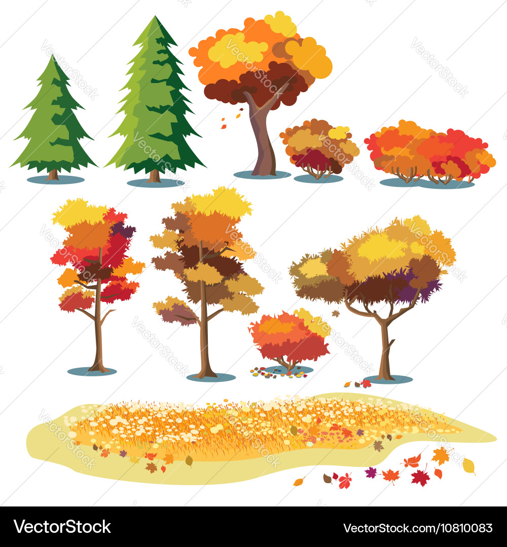 Autumn plants Royalty Free Vector Image - VectorStock