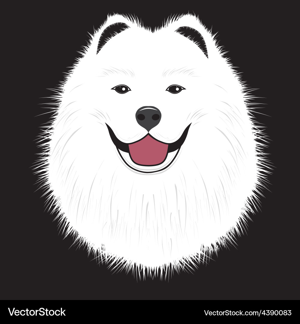 Dog samoyed buddy puppy Royalty Free Vector Image