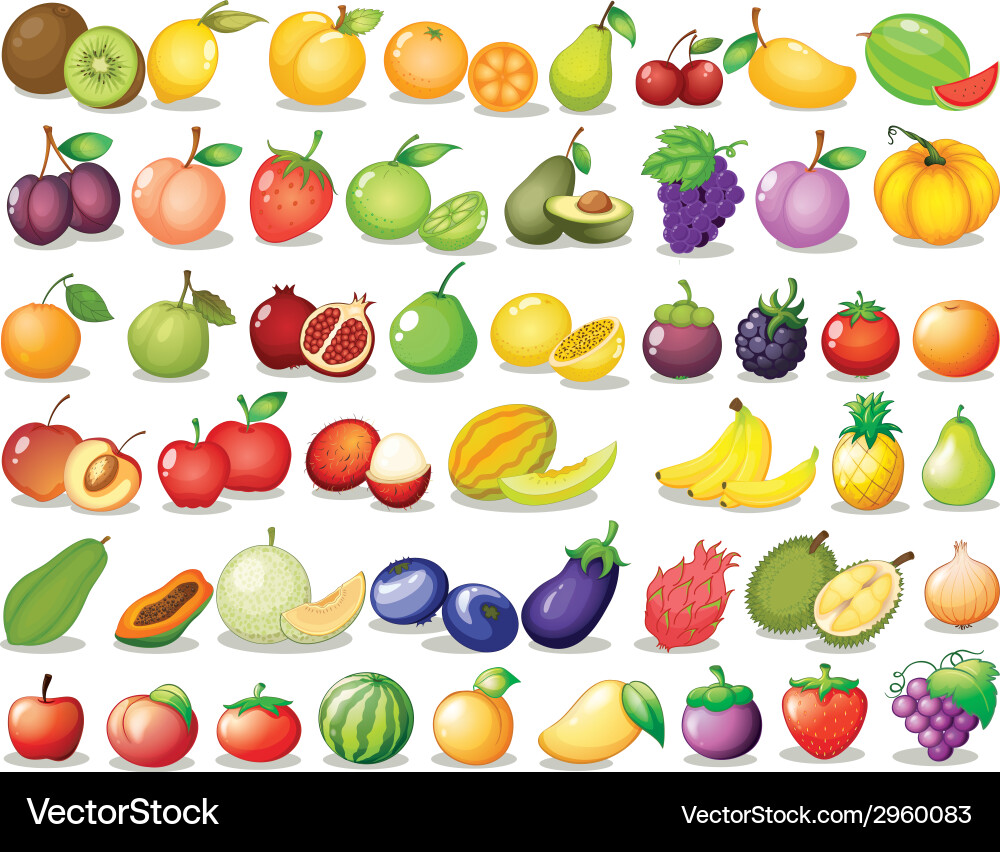 Fruit set Royalty Free Vector Image - VectorStock