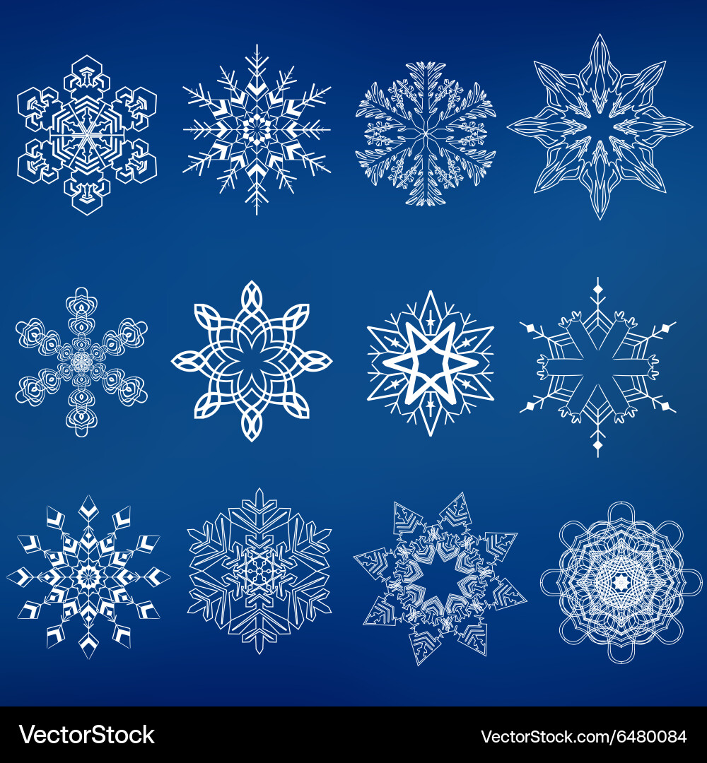 Collection of snowflakes Royalty Free Vector Image