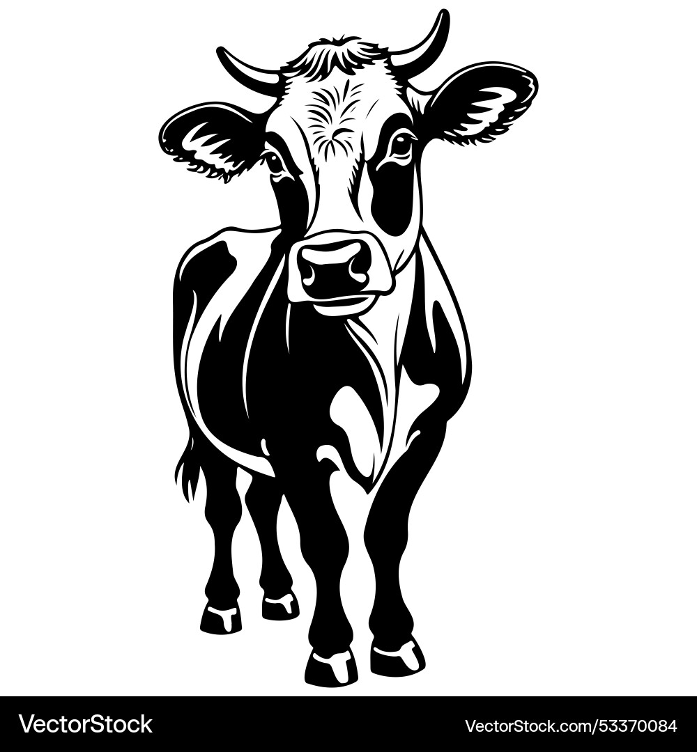 Line cow drawing vintage image Royalty Free Vector Image