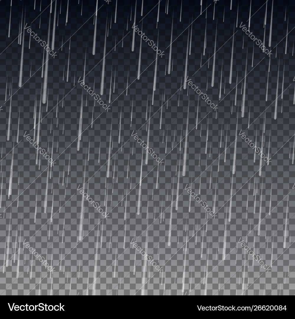 Rain isolated on transparent background realistic Vector Image