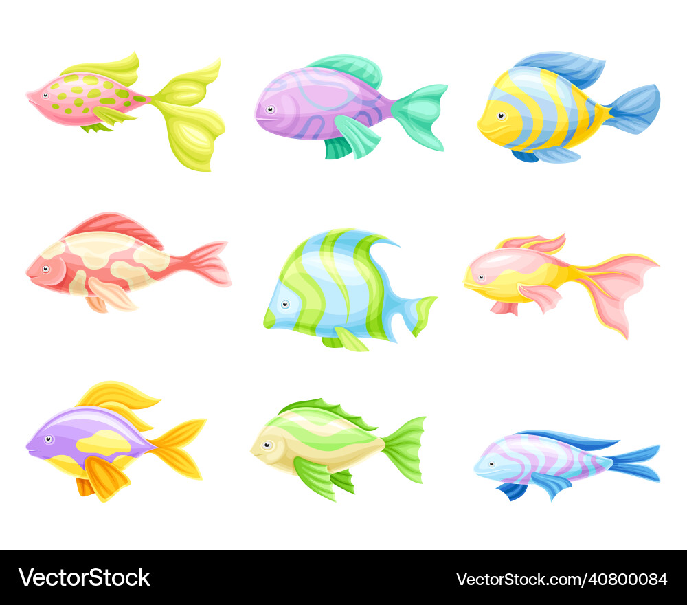 Tropical Fish Set - Colorful Aquatic Life Vector Image