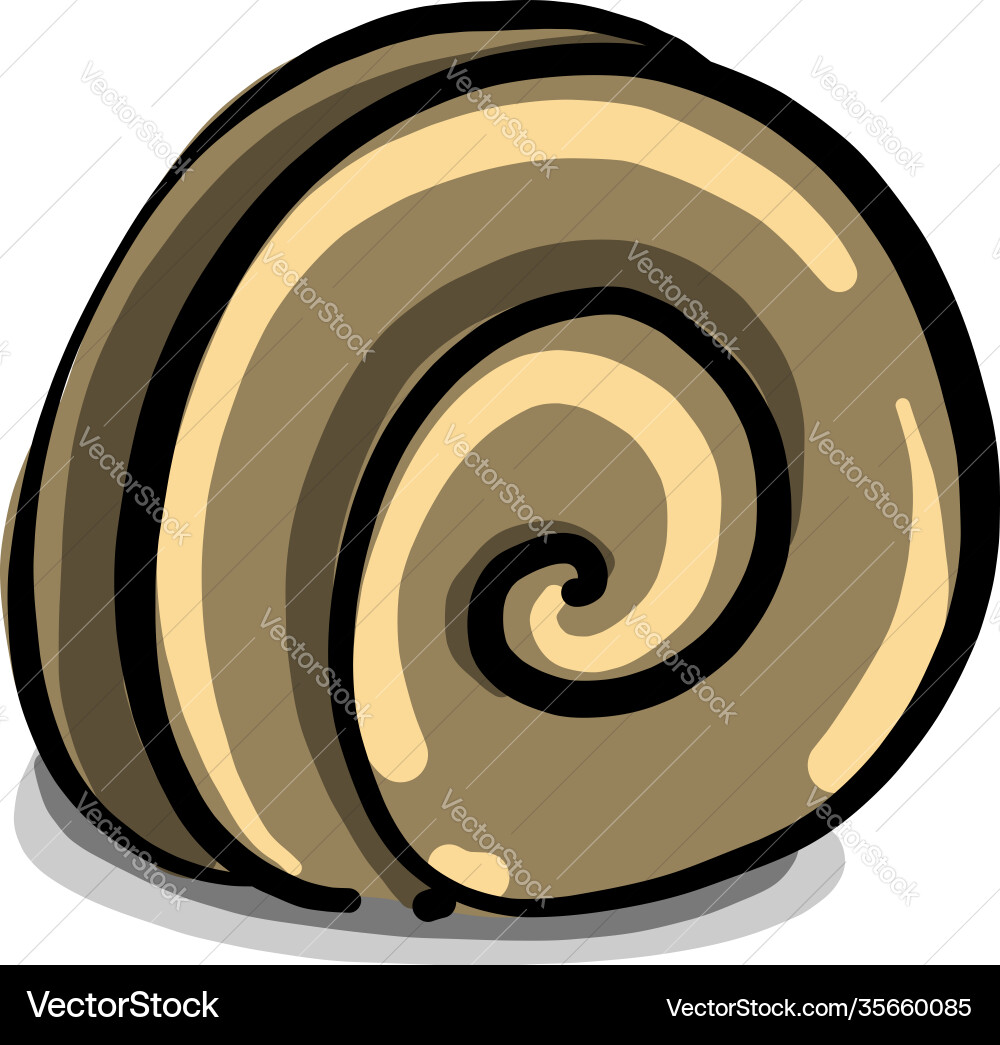 Brown shell on white background Royalty Free Vector Image