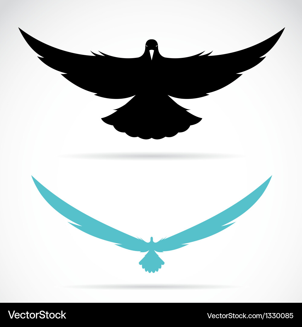 Pigeon Royalty Free Vector Image - VectorStock