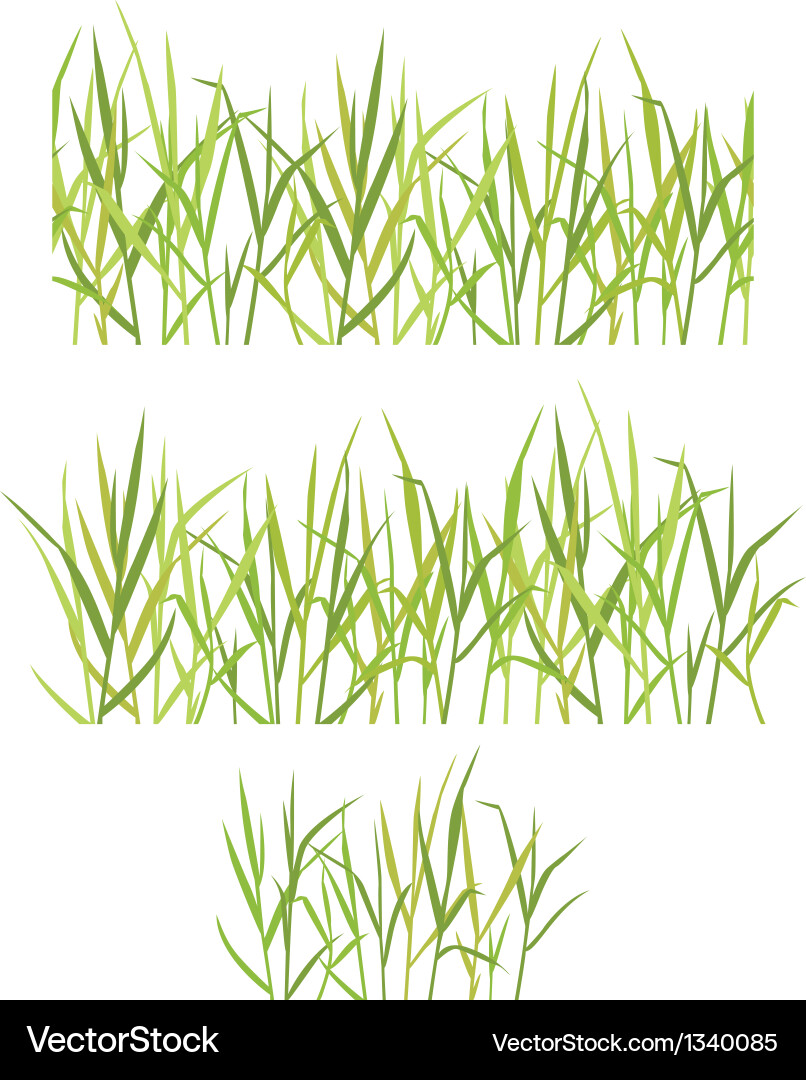 Realistic green grass Royalty Free Vector Image