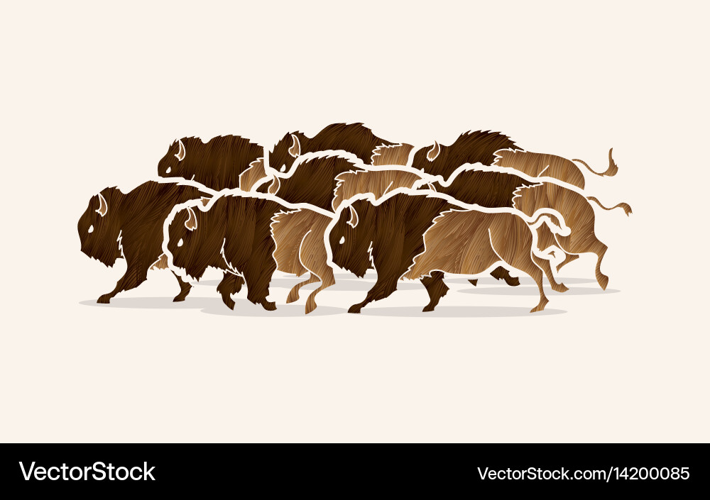 Running Buffalo Graphic Royalty Free Vector Image