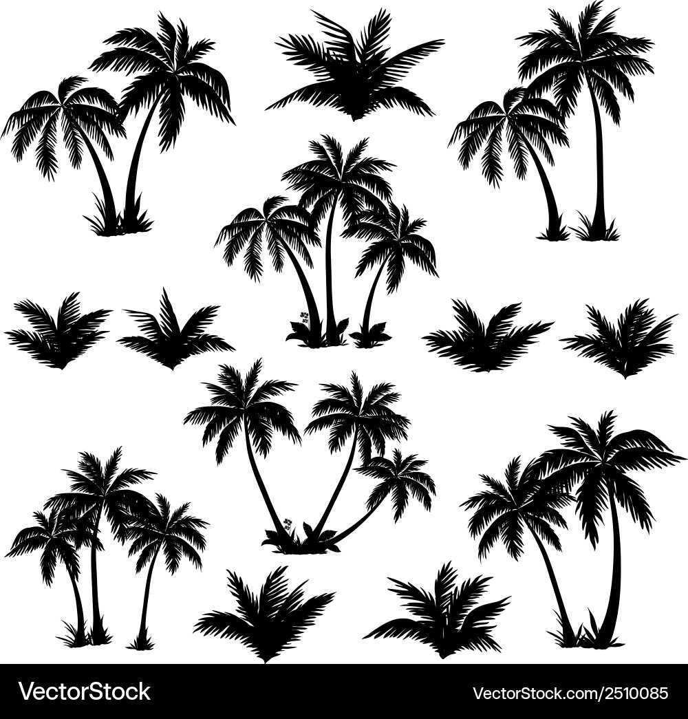Coconut Tree Vector Images (over 39,000)