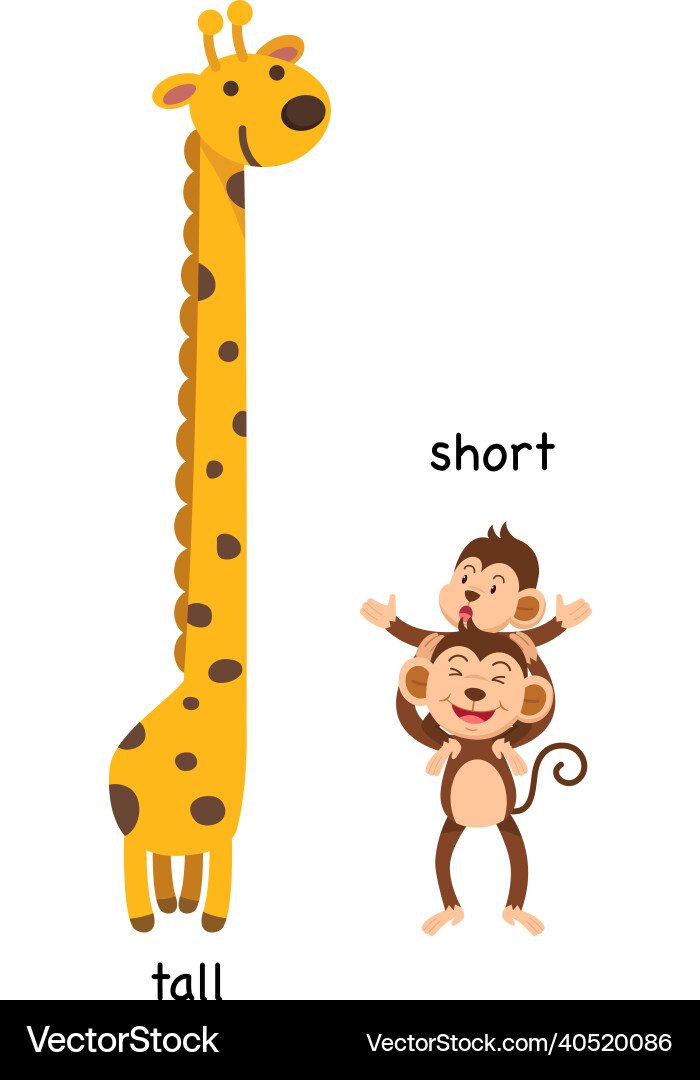 Tall vs. Short Animals Royalty Free Vector Image