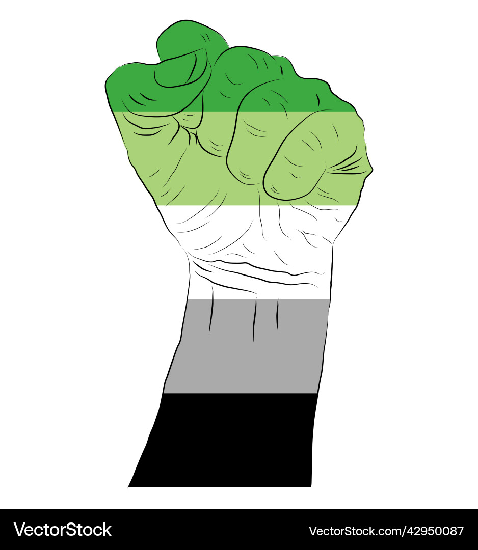 Aromantic pride flag lgbt community bright Vector Image