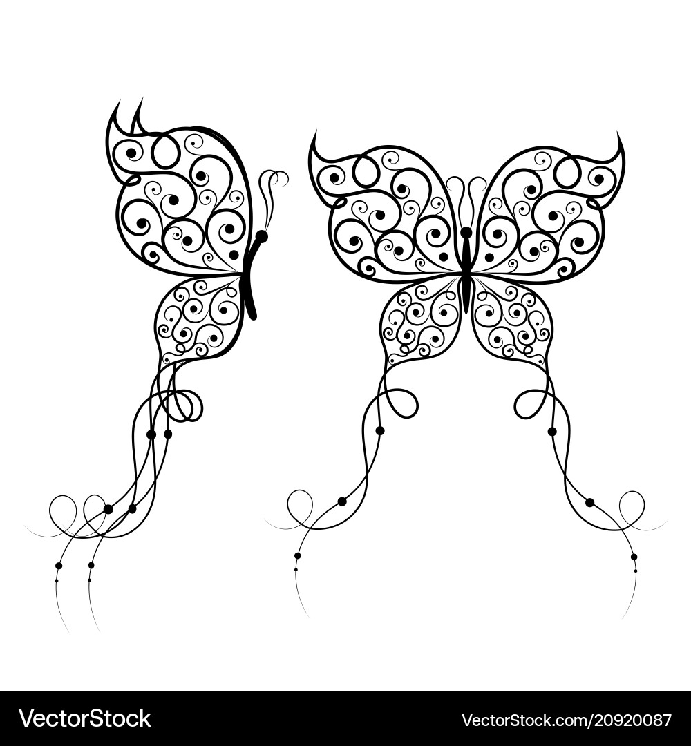 Beautiful butterflies with swirl pattern Vector Image