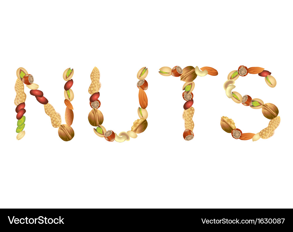 Nuts word Royalty Free Vector Image - VectorStock