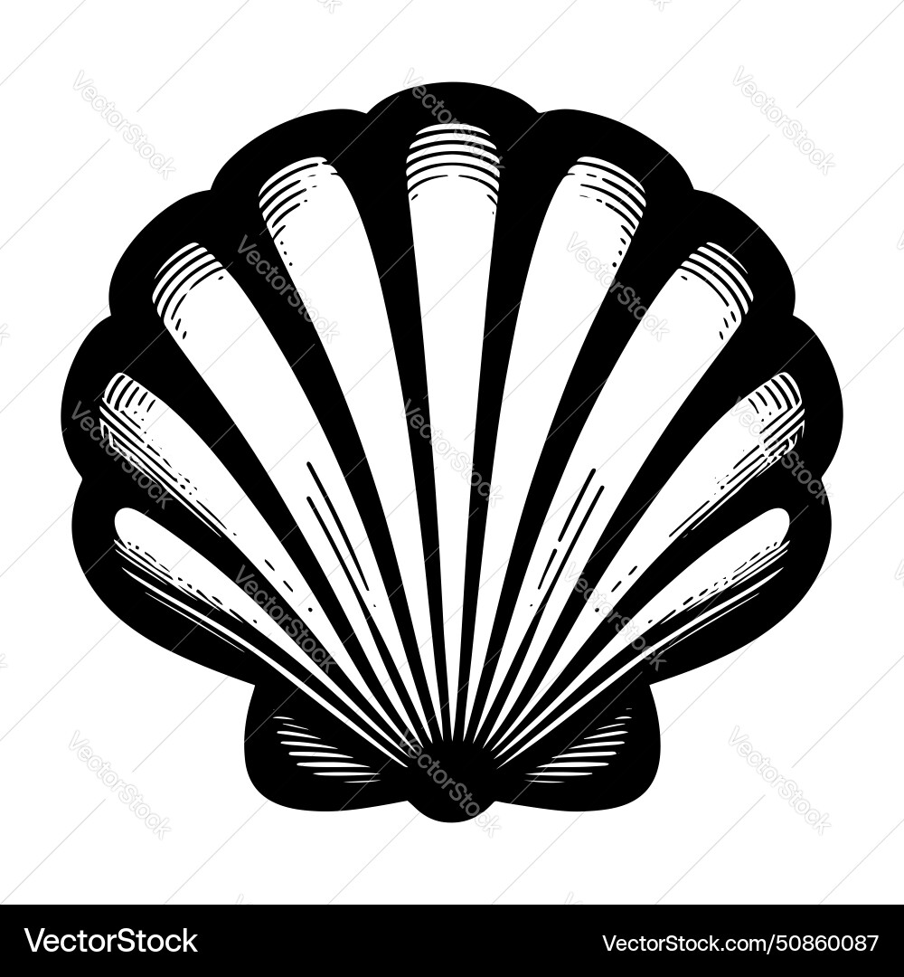 Seashell Vector Seashell Cut Out Vector Images (over 310)