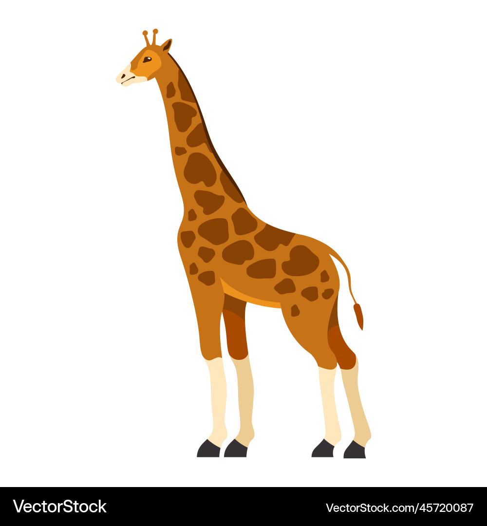 Wild african giraffe Royalty Free Vector Image