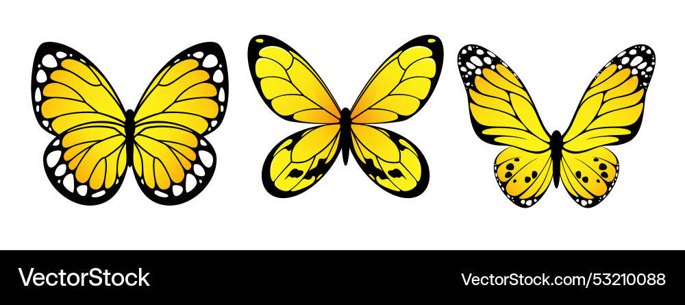 A set of yellow butterflies Royalty Free Vector Image