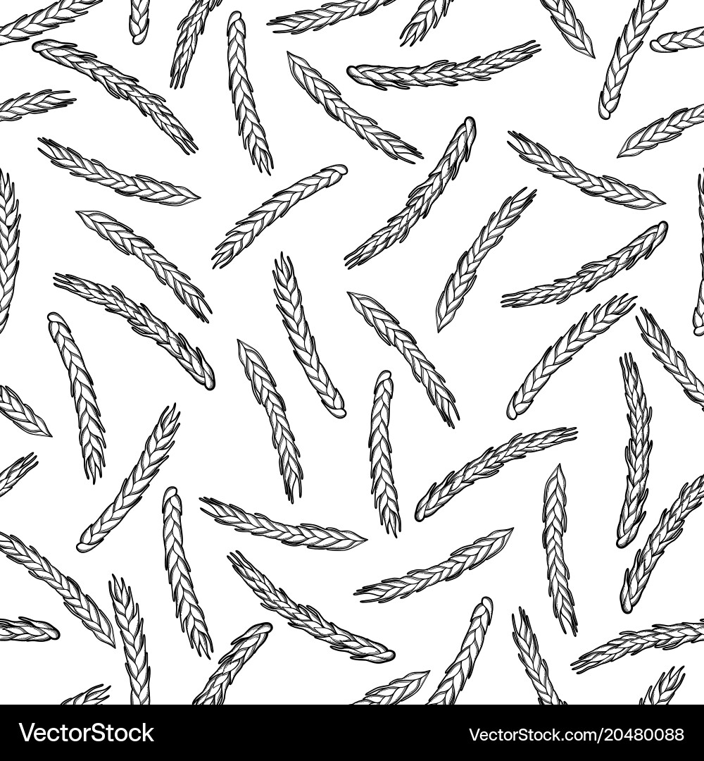 Cereal Grain Pattern Royalty Free Vector Image