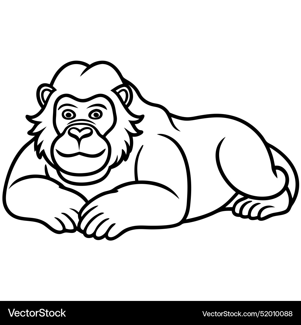 Eastern gorilla monkey lies icon Royalty Free Vector Image