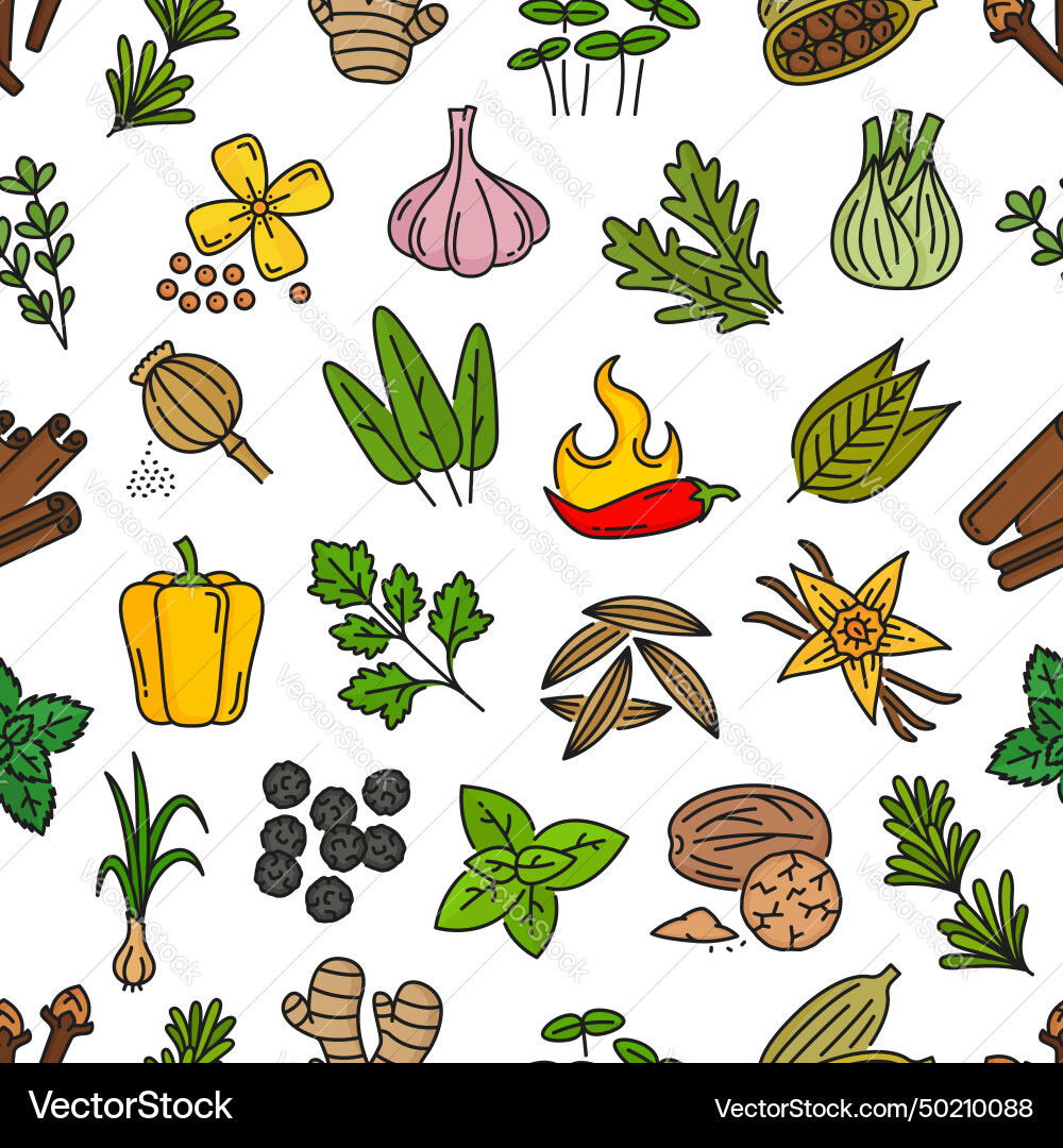 Spice herbs and seasonings seamless pattern Vector Image