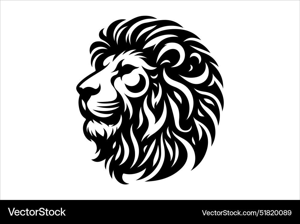 Lion wildlife Royalty Free Vector Image - VectorStock