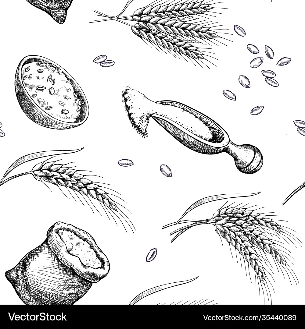 Wheat barley hand drawn seamless pattern Vector Image