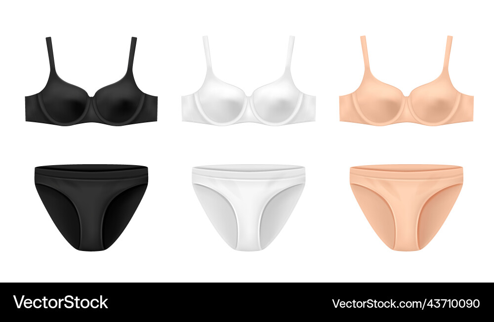 Female lingerie underwear set Royalty Free Vector Image