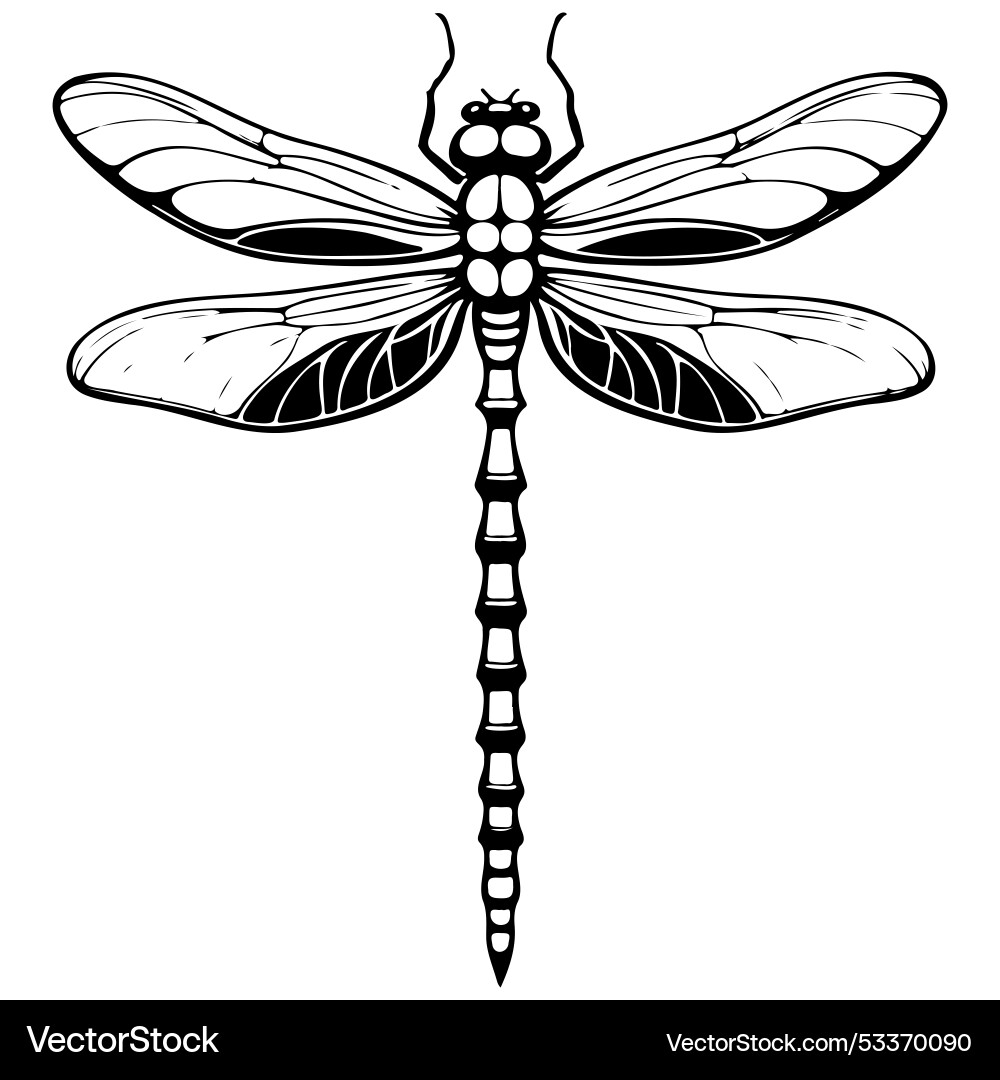 Line dragonfly vintage hand drawn line Royalty Free Vector