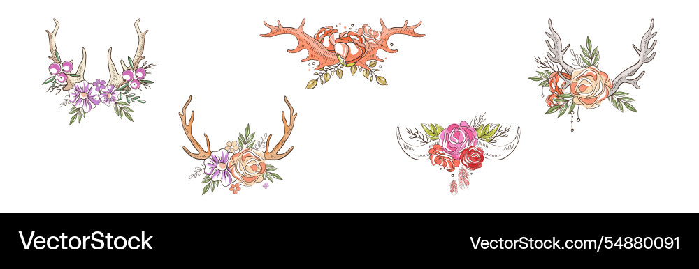 Deer antler with flower bud decoration set Vector Image