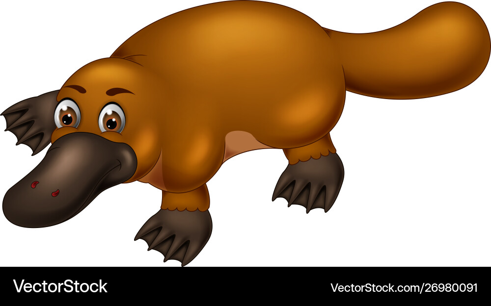 Funny brown platypus cartoon Royalty Free Vector Image