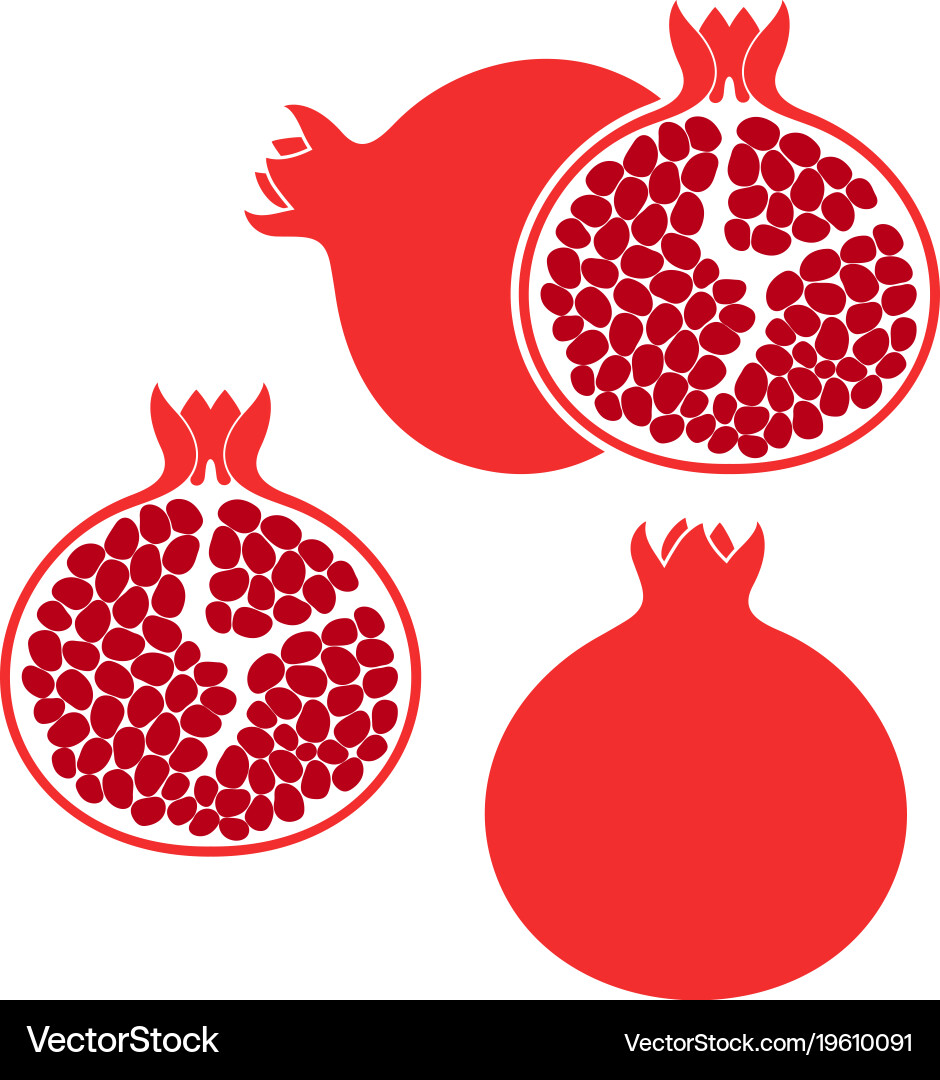 Pomegranate Royalty Free Vector Image - VectorStock