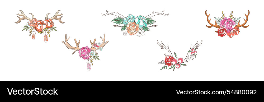 Deer antler with flower bud decoration set Vector Image