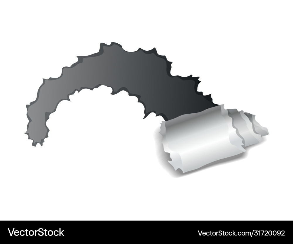 Paper hole realistic torn Royalty Free Vector Image