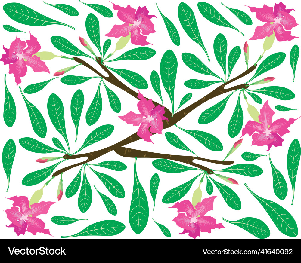 Pink desert rose flowers or bignonia backg Vector Image
