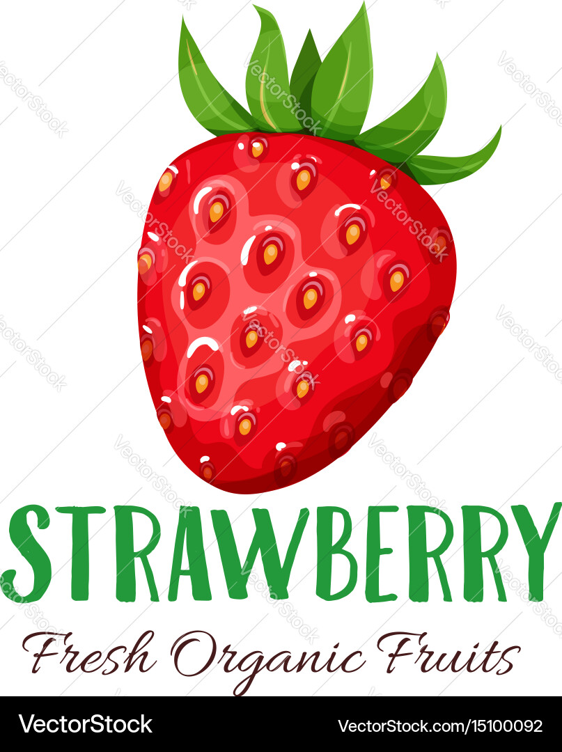 Strawberries Royalty Free Vector Image - VectorStock