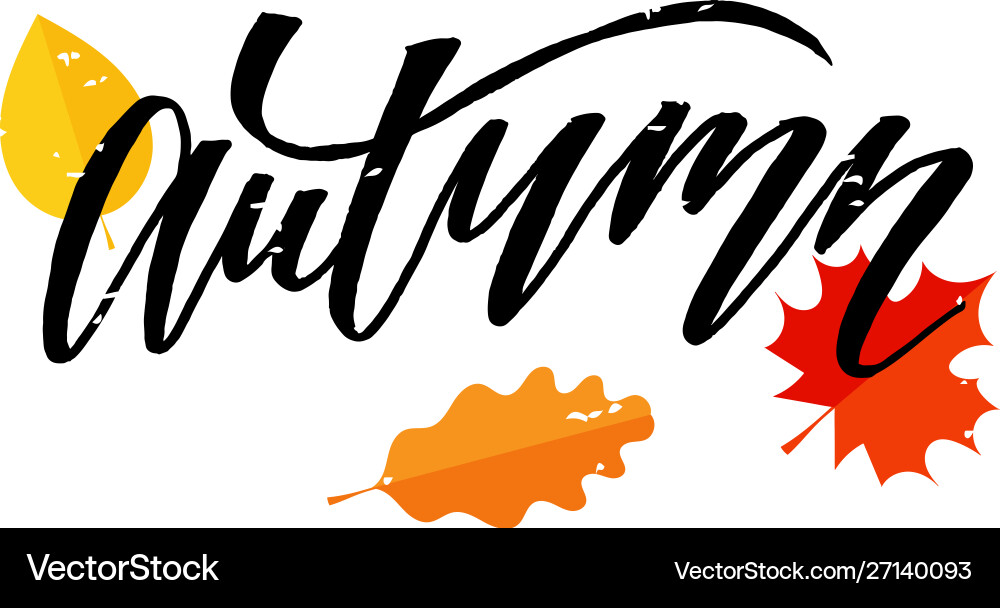 Autumn lettering calligraphy brush text holiday Vector Image