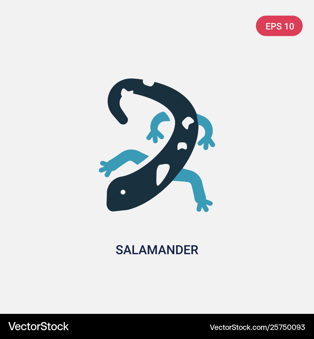 Two color salamander icon from animals concept Vector Image