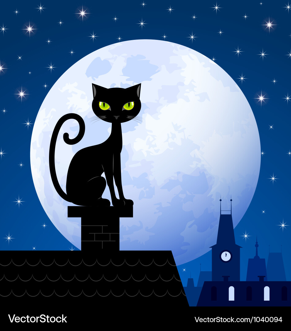 Black Cat and Starry Night Vector Images (81)