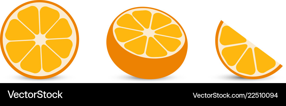 Oranges with orange slice and half citrus Vector Image