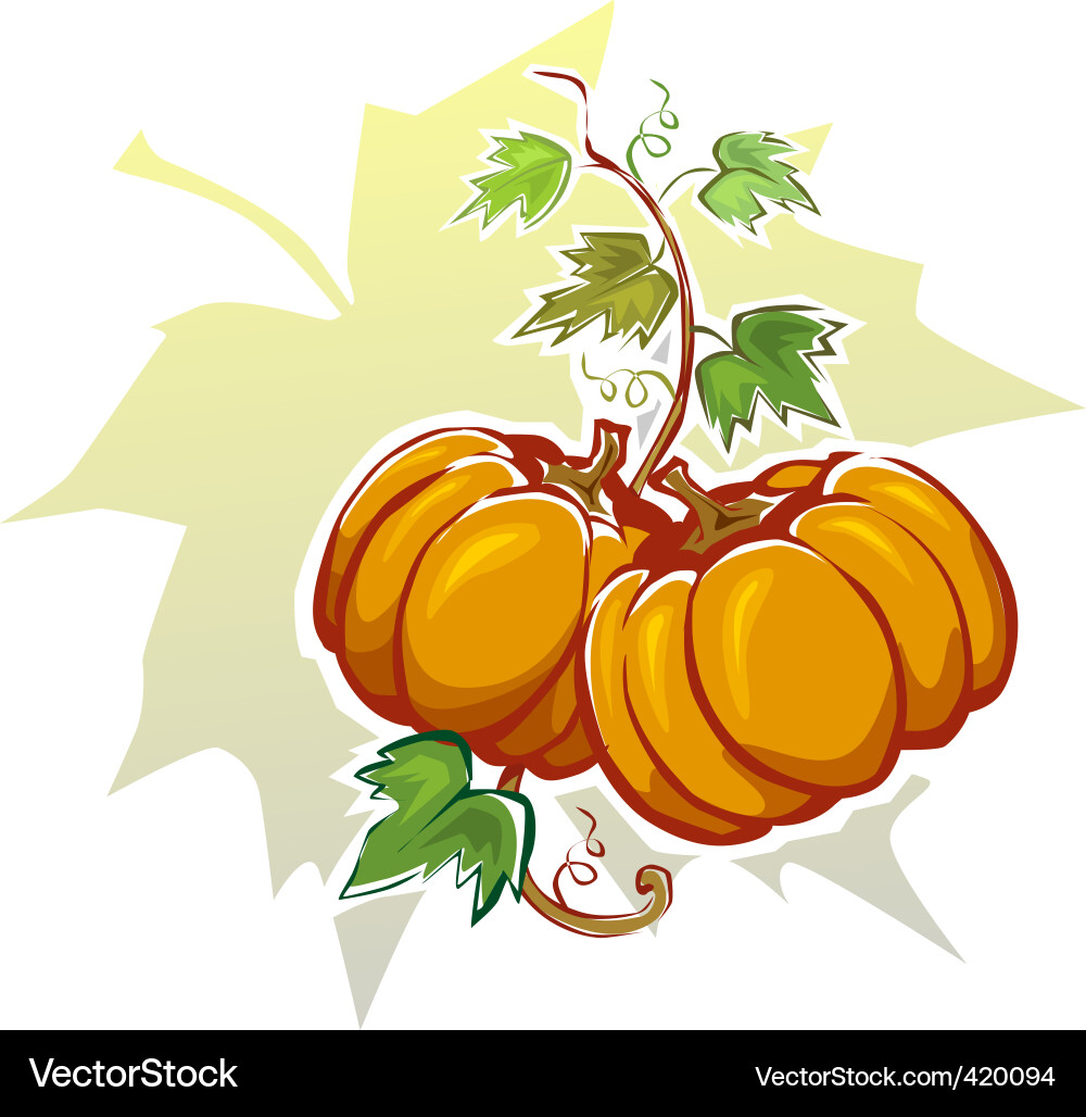 Pumpkin Royalty Free Vector Image - VectorStock