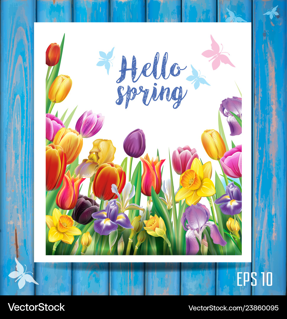 Card with arrangement multicolor spring Royalty Free Vector
