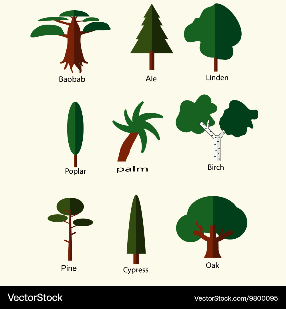 Flat trees set Royalty Free Vector Image - VectorStock