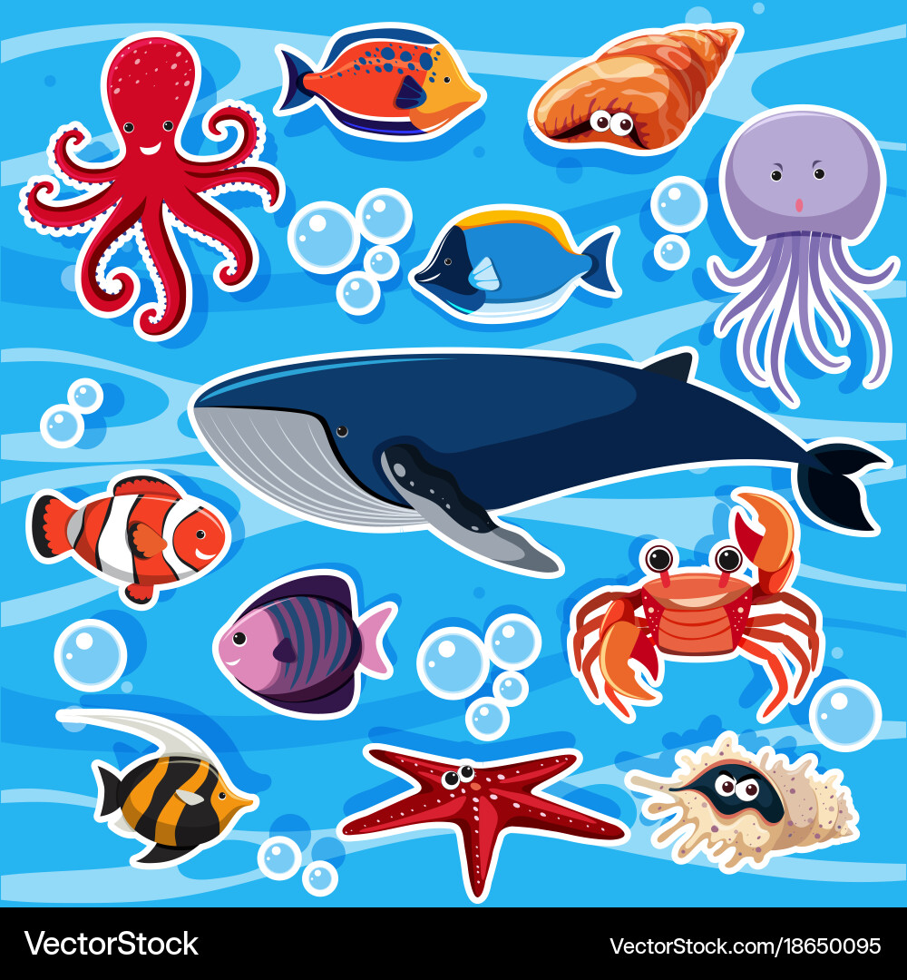 Sticker template with many sea animals Royalty Free Vector