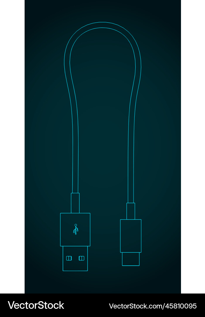 Usb type-a to type-c cable Royalty Free Vector Image