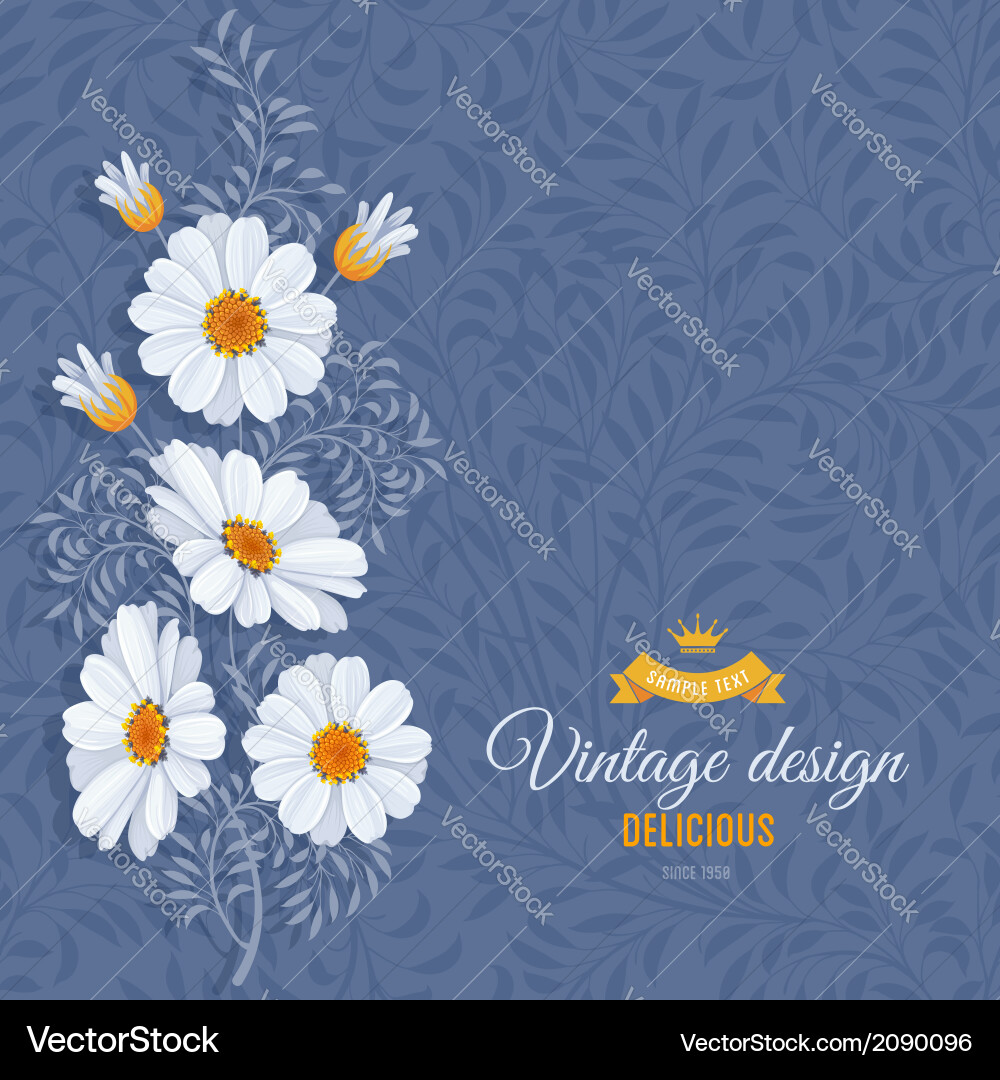 Daisy background Royalty Free Vector Image - VectorStock