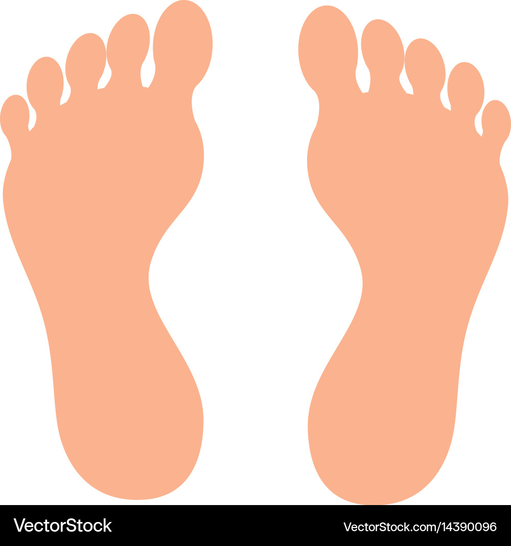 Human foot plant icon Royalty Free Vector Image