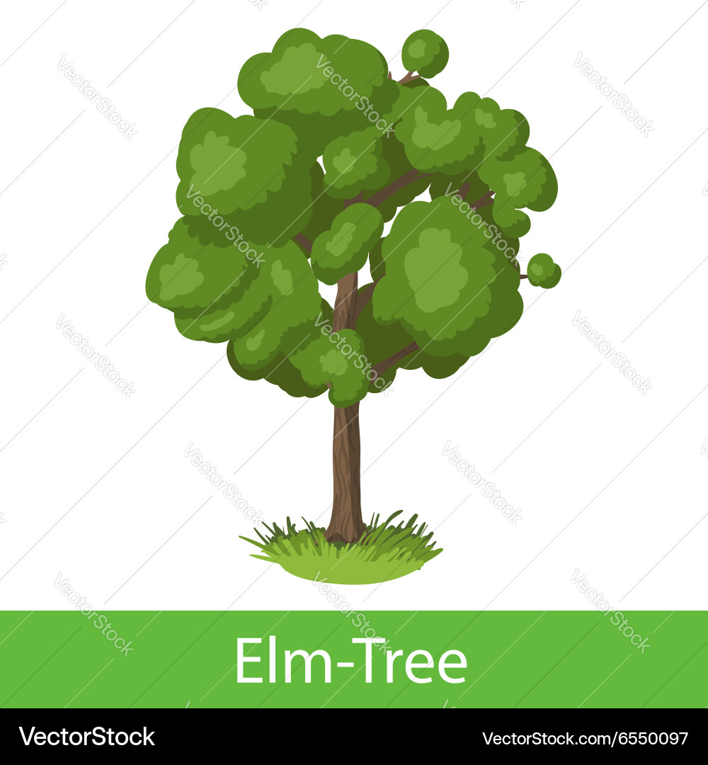 Elm-tree cartoon icon Royalty Free Vector Image